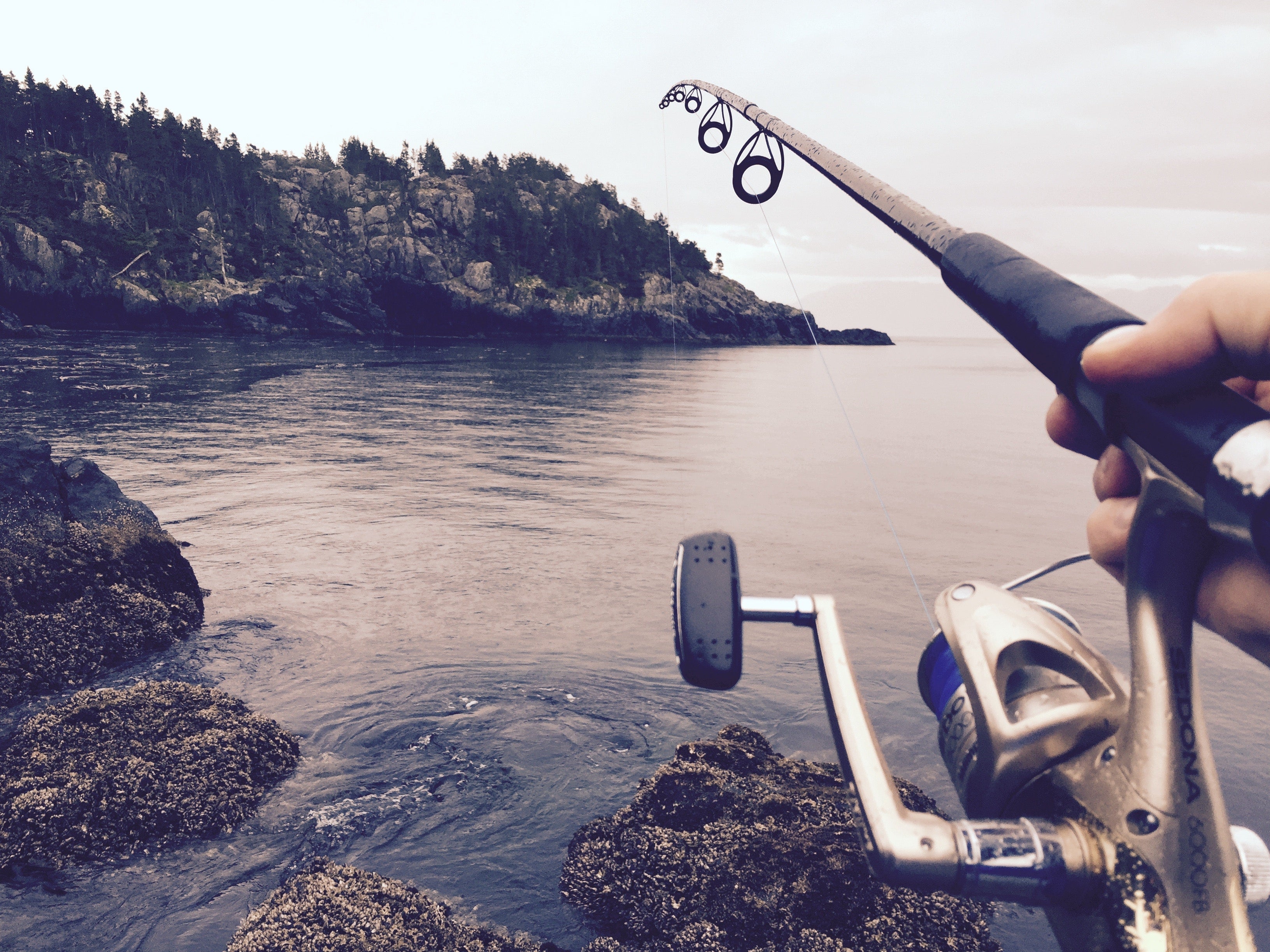 North America’s Toughest Fish to Catch & How You Can Reel One In – Big ...